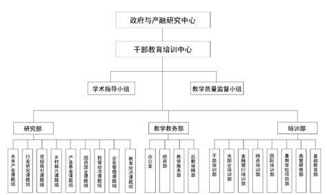 组织结构 复旦大学国际金融学院