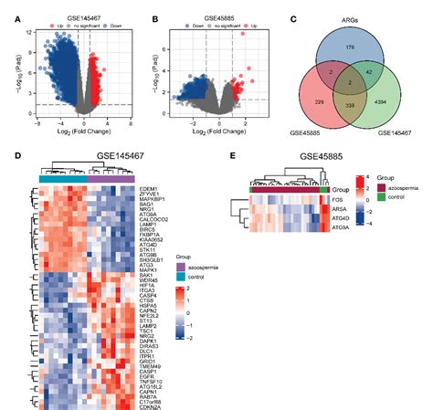 Figure 1 From Integrative Bioinformatics Analysis To Identify Novel Biomarkers Associated With