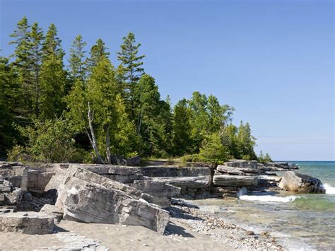 Fossil Collecting On Manitoulin Island Ontario Canada