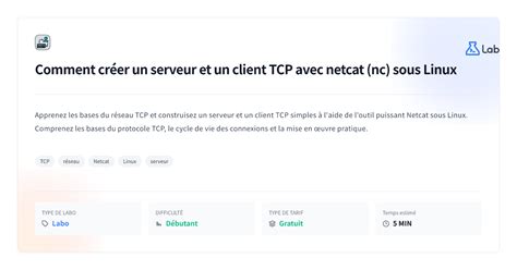Comment Créer Un Serveur Et Un Client Tcp Avec Netcat Nc Sous Linux Labex