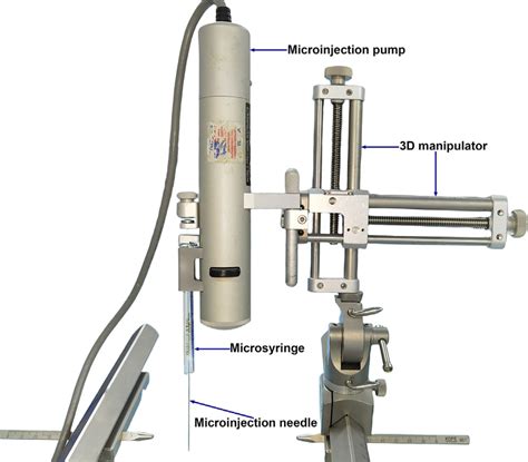 Assembled Microinjection Pump Microinjection Syringe And The 3d Download Scientific Diagram