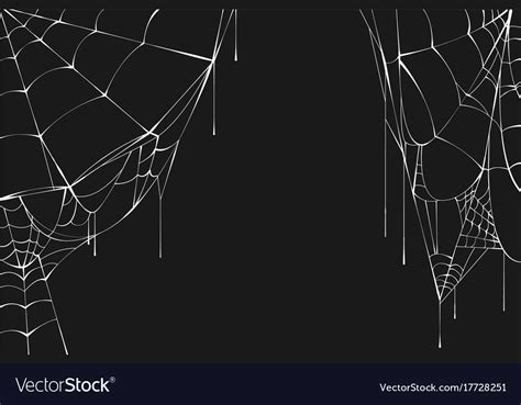White Spiderweb On Black Background Royalty Free Vector