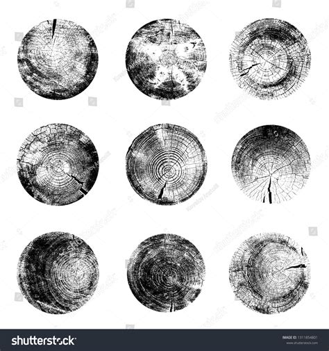 Set Tree Rings Background Your Design Stock Vector Royalty Free Shutterstock