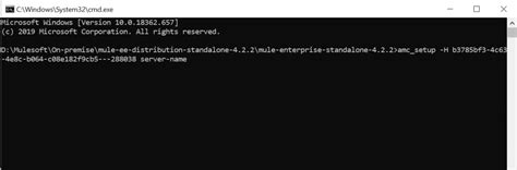Register On Premise Runtime With Cloudhub Mulesoft
