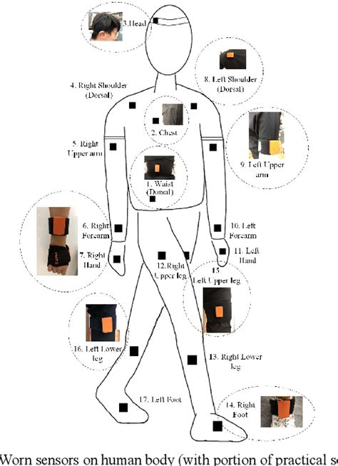 Figure 1 From Wearable Accelerometer Optimal Positions For Human Motion Recognition Semantic