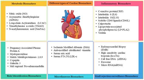 Multifaceted Role Of Cardiovascular Biomarkers Pmc