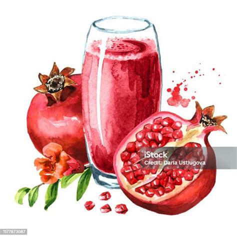 유리와 석류 과일 전체에 석류 주스 전체와 꽃과 씨앗 반 흰색 배경에 격리 된 수채화 손으로 그린 그림 0명에 대한 스톡 벡터 아트 및 기타 이미지 Istock