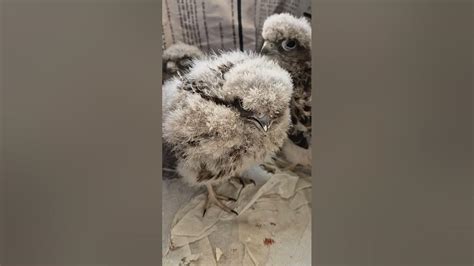 몸이 바람에 휙 밀려요 바람은 너무 싫어요~~ Youtube