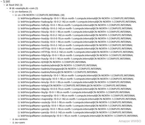 基于OpenLDAP与Kerberos的Amazon EMR身份认证方案 一 整合后台数据库 亚马逊AWS官方博客