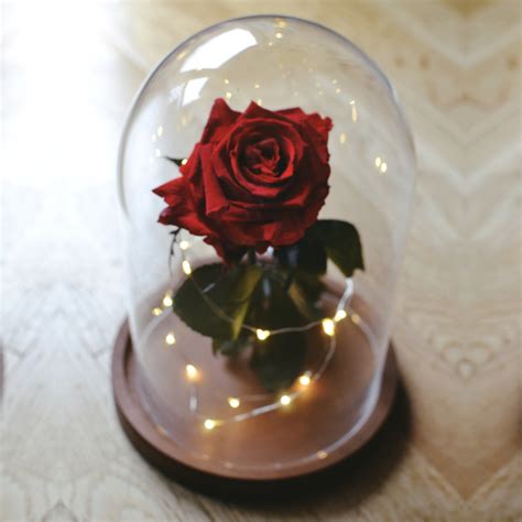 Il Significato Delle Rose In Base Ai Colori Rosaeterna Online