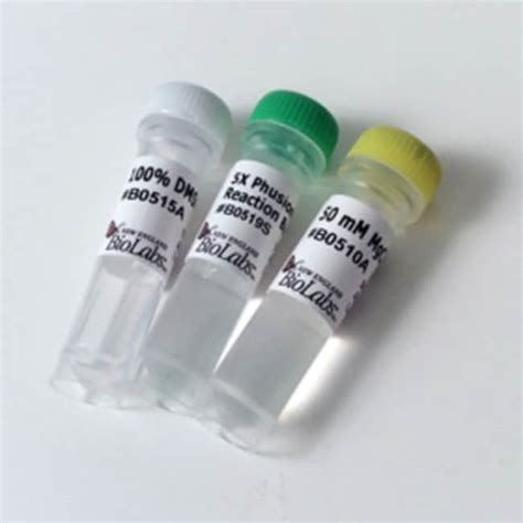New England Biolabs Inc Phusion Gc Buffer Pack 6 Ml 4 X 15 Ml