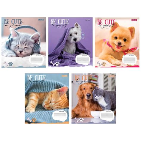Зошит шкільний 1b Be Cute 12 аркушів коса лінія — ціна 10 грн у каталозі Зошити Купити товари
