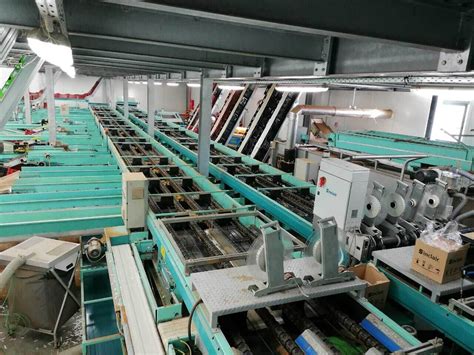 sammo 8 lines kiwi sorting line fruit graders