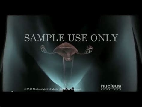 Pin En Pregnancy Women S Health