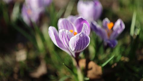 Visualization In Python Cuemacro