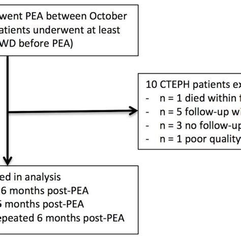 Classification Of Lesion Morphology By Angiogram Various Morphology
