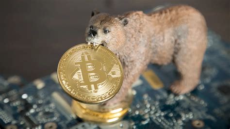 Bear Market Much Worse Than Expected Analysts Pitch New Bitcoin Economy Framework Decrypt