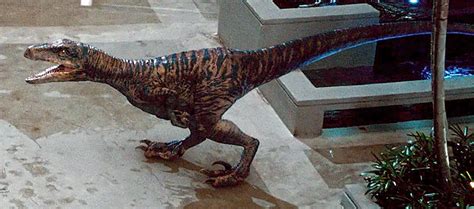 Jurassic World Echo Color
