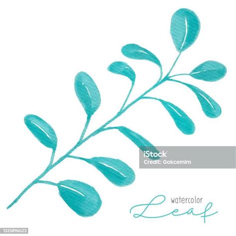 손으로 그린 수채화 유칼립투스 나무 잎 고립 꽃 열대 여름 배경 파티 전단지 템플릿입니다 판매 배너 포스터 라벨 및 초대 장용 카드를 디자인합니다 수채화에 대한 스톡 벡터