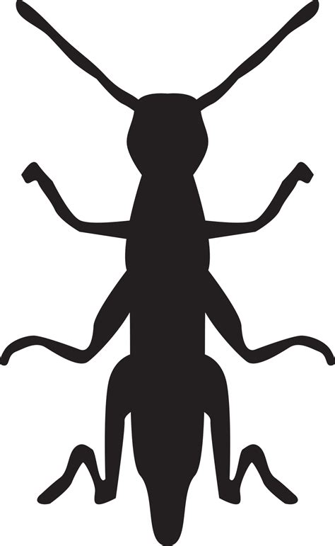 Bug Isolated Silhouette 23985657 Png