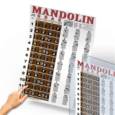 Mandolin Chord Chart Fretboard Notes Note Map Poster