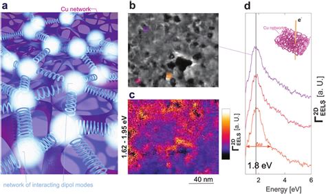 Global Network Mode In Disordered Network Metamaterials A Schematic Download Scientific