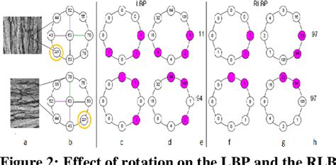 figure 2 from a novel cbir based system using texture fused lbp variants and glcm features