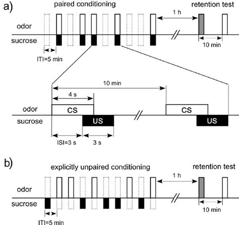 Experimental Procedure Of Absolute Olfactory Classical Per