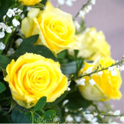 Shiwa Ghafari Kauffrau Für Büromanagement Noch Keine Unternehmen Xing