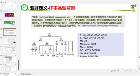 单细胞亚群手动注释步骤 知乎