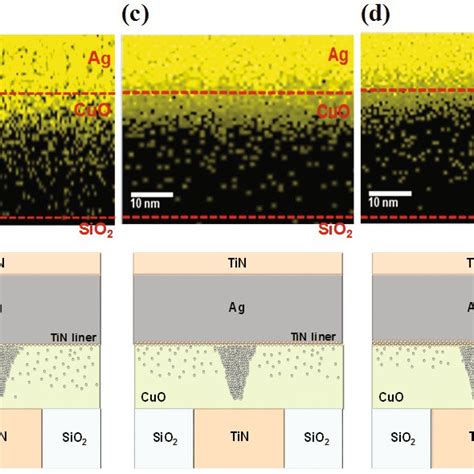 Color Online Ag Ion Distribution Measured By Using Energy Dispersive