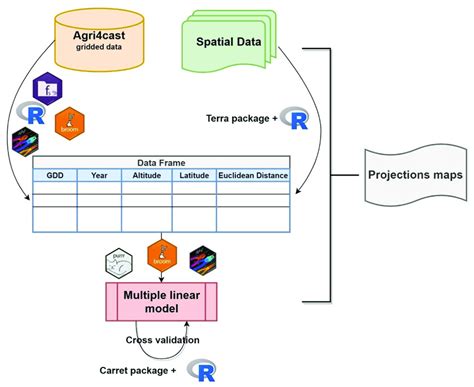 The General Research Workflow Of The Research Containing The Used R Download Scientific Diagram