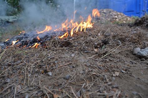 Tpu Researchers Calculate How Wet Line Facilitates Forest Fire