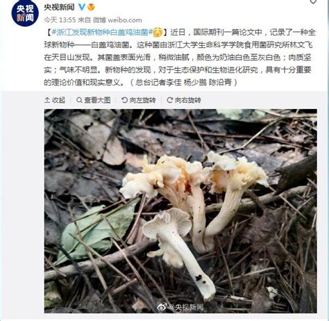 能好怎是什么意思 布丁导航网