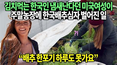 김치먹는 한국인 냄새난다던 미국여성이 주말농장에 한국배추심자 벌어진일 Youtube