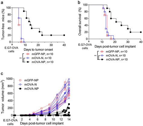 Prophylactic Immunization With Ova Mrna Nanoparticles But Not Gfp Mrna Download Scientific