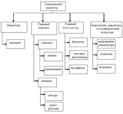 Организационная Структура Предприятия Оптового Магазина Кондитерскими Изделиями — Xxx
