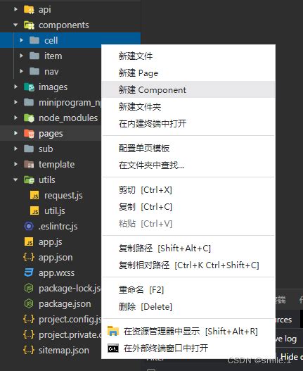 微信小程序自定义组件 小程序 options csdn博客
