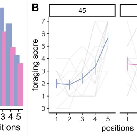 Food Restriction Effect On Rats Foraging Behavior A Success Rate Of