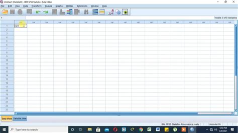 Download IBM SPSS For Windows Latest