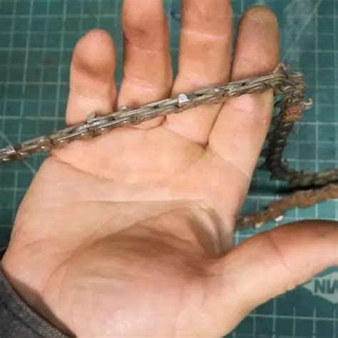 How To Sharpen A Chainsaw Step By Step Guide Forestry Com