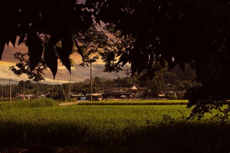무료 이미지 경치 나무 자연 숲 산 목재 일몰 밤 햇빛 아침 꽃 국가 황혼 저녁 반사 가을 불타는 듯한 빛깔 어둠 조명 단풍 시골