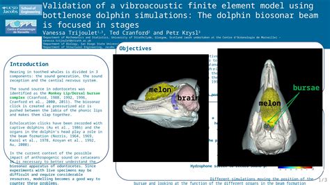 Pptx Materials And Methods Vibroacoustic Finite Element Model Fem Ct Scans Of A Post