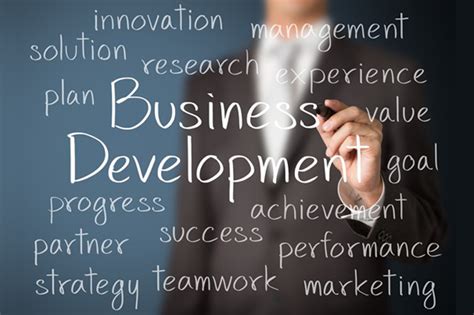Business Development Management Blubiz