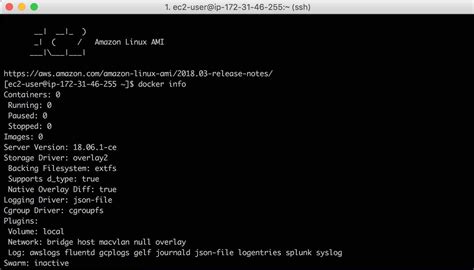How To Run Your API Builder Docker Image On AWS EC