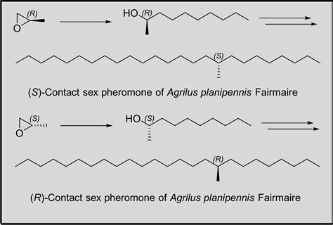 Asymmetric Synthesis Of The Contact Sex Pheromone Of The Emerald Ash Borer Agrilus Planipennis