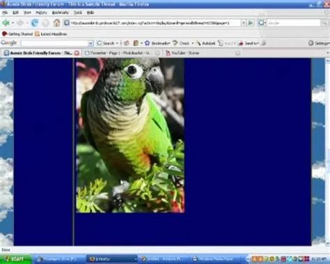 how to embed and remove a youtube video in a forum post internet gadget hacks