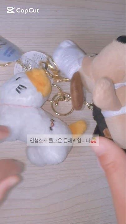 🔮인형소개 보러오실 분 관리자님구독자늘게해주세요 Youtube