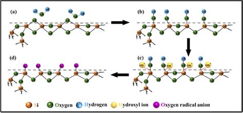 Schematic Of Chemical Reaction At The Surface Of Sio2 Film A