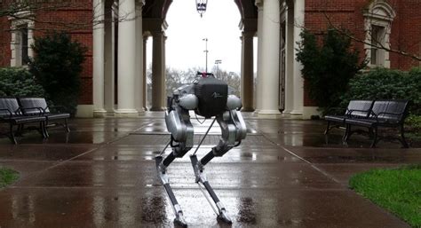 Agility Roboticsin 5 Kilometre Koşabilen Robotu Cassie Ile Tanışın Egirişim